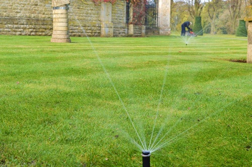 MP Strip - Tưới Tự Động